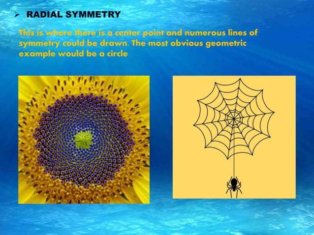 Interdisciplinary approach in mathematics | PPT Interdisciplinary approach in mathematics | PPT