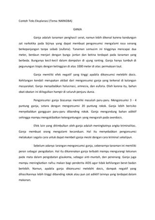Teks Eksplanasi "GANJA" | BAHASA INDONESIA | DOCX