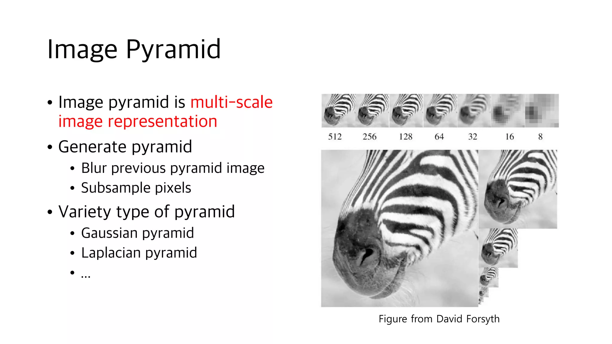 Generative Adversarial Network (+Laplacian Pyramid GAN) | PPT