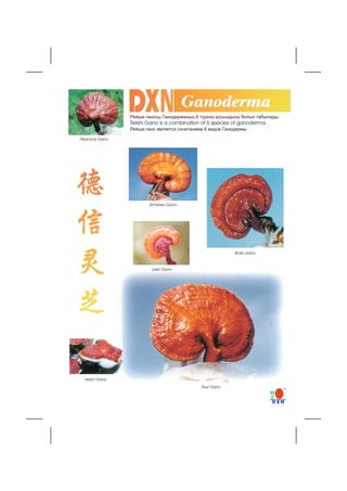 DXN Ганодерма | PDF