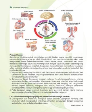 GANO PLUS | PDF