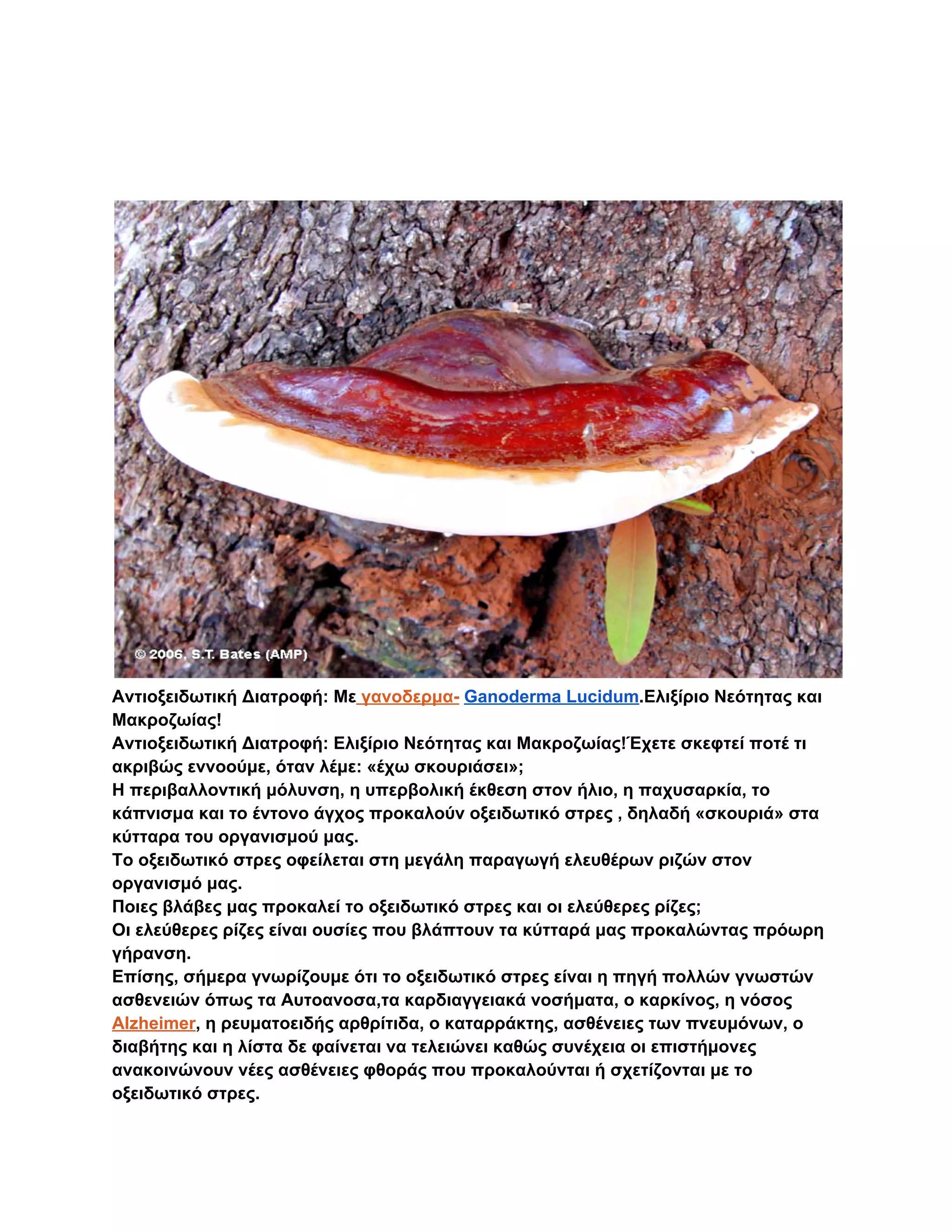 πώς το φαρμακευτικο μανιταρι γανοδερμα, Ganoderma lucidum βελτιώνει την ...