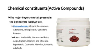 Ganoderma lucidum (Red mushroom) | PPTX