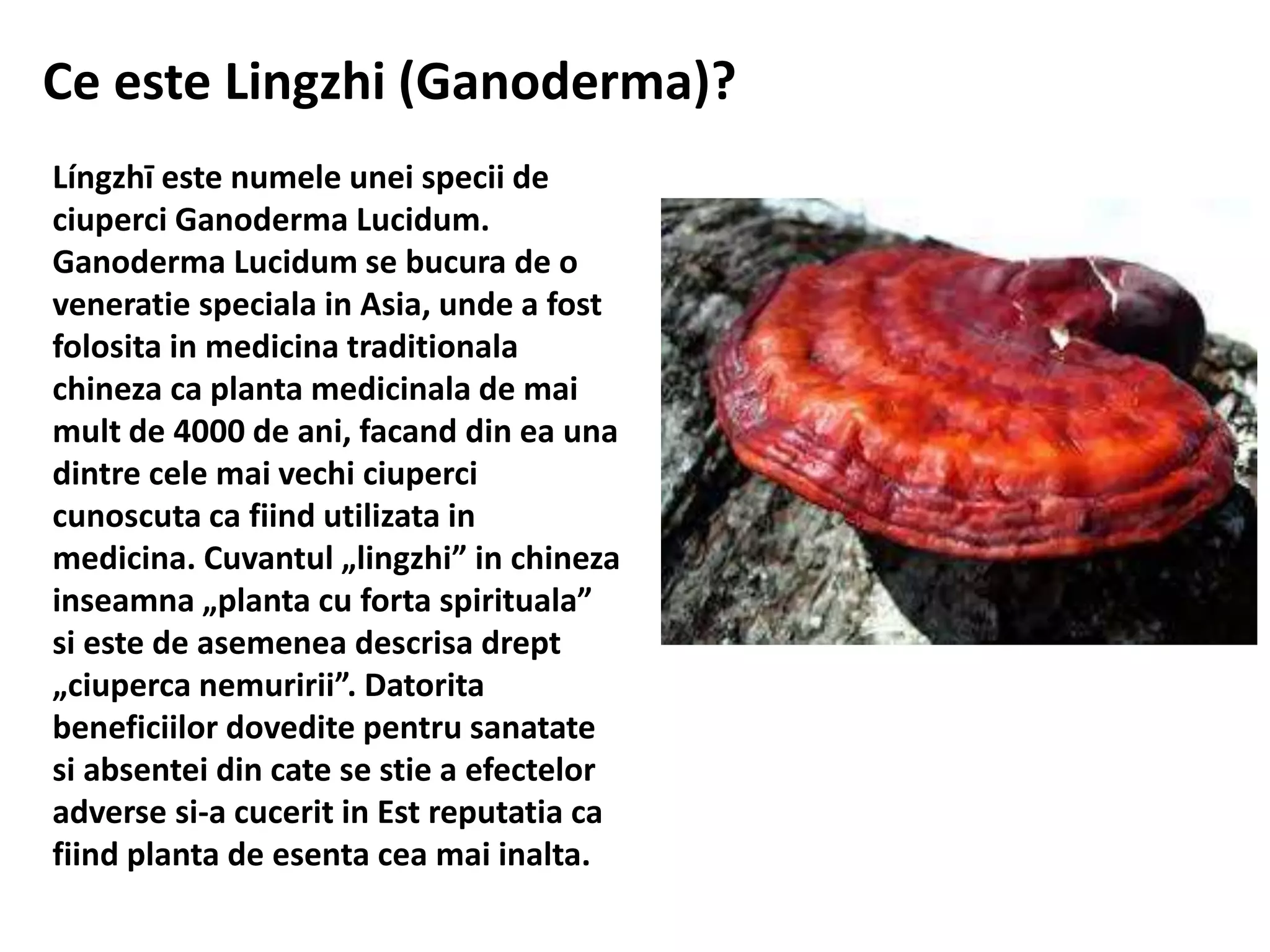 Ganoterapia DXN | PPSX