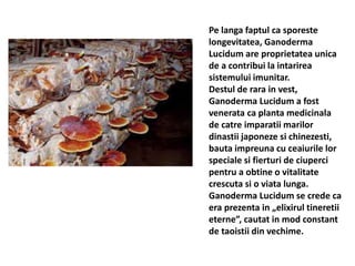 Ganoterapia DXN | PPT