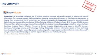 GaN Technology Top-100 IP profiles - Sample | PPT