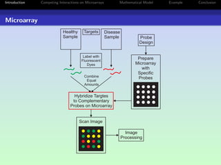 Modeling of Competitive Kinetics of DNA Hybridization Reactions | PDF