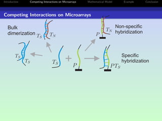Modeling of Competitive Kinetics of DNA Hybridization Reactions | PDF