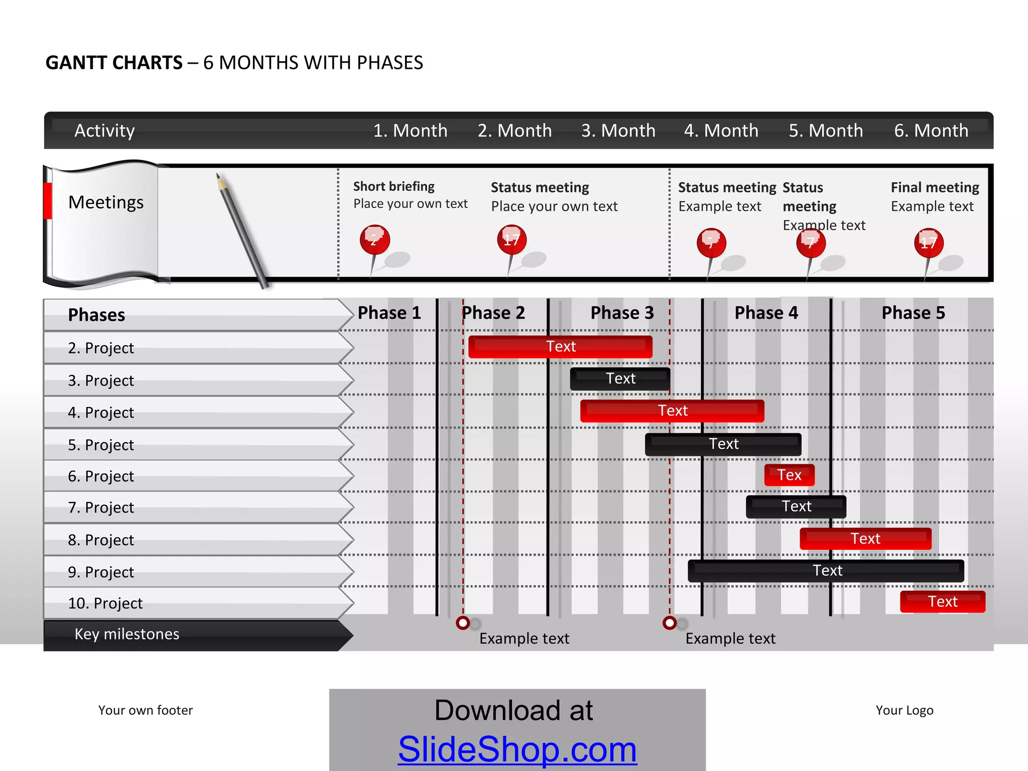 Gantt chart months | PPT