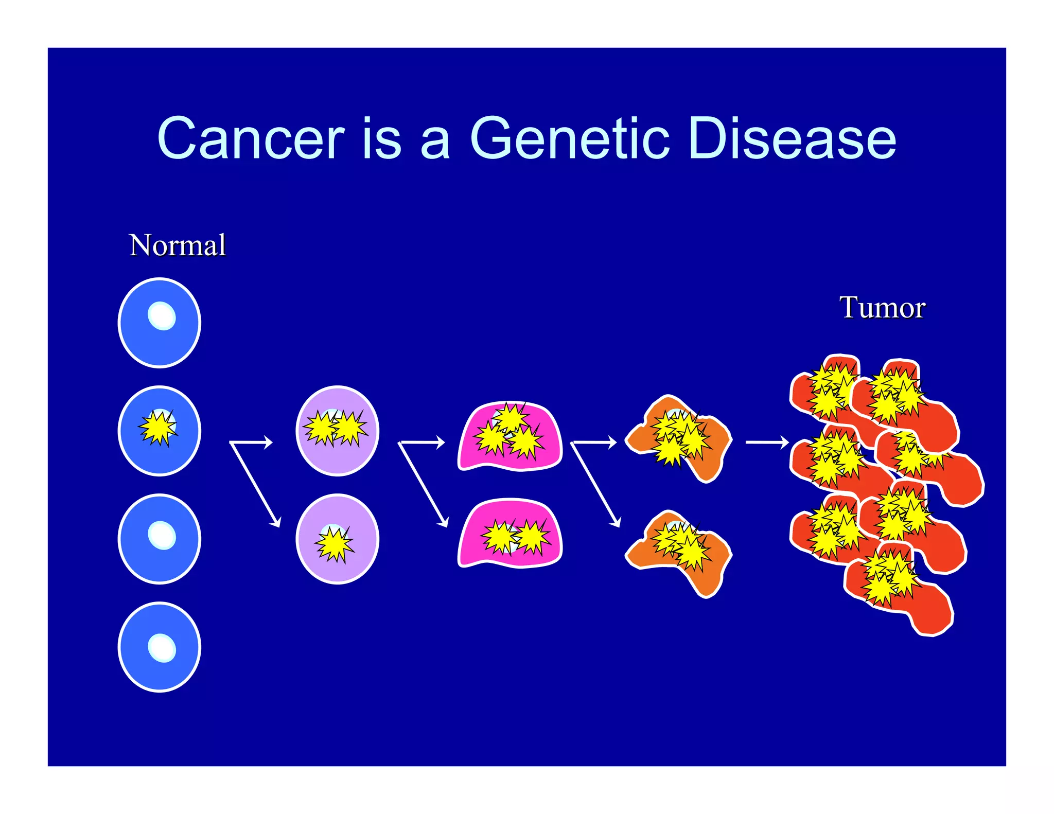 Hereditary Cancer Predisposition | PDF