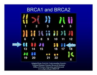 Hereditary Cancer Predisposition | PDF