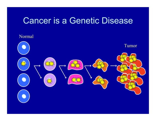 Hereditary Cancer Predisposition | PDF