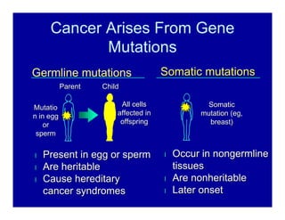 Hereditary Cancer Predisposition | PDF