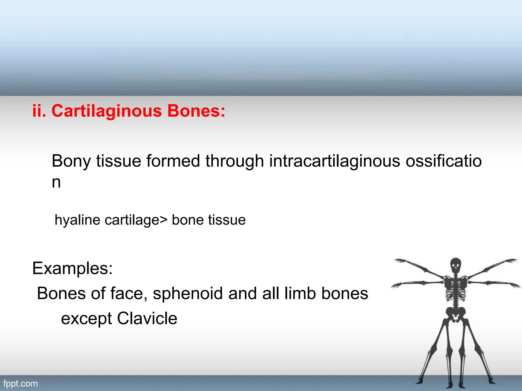 General Anatomy of bones and cartilage ppt | PPT