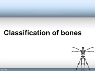General Anatomy of bones and cartilage ppt | PPT