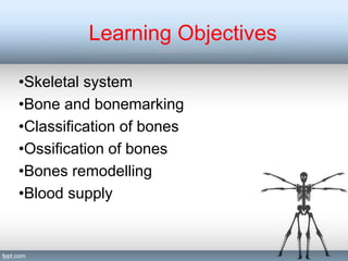 General Anatomy of bones and cartilage ppt | PPT
