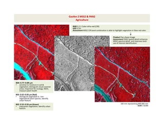 Gaofen-2 - Image data assessment.pdf