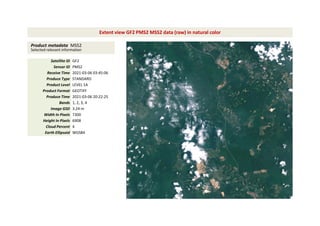 Gaofen-2 - Image data assessment.pdf