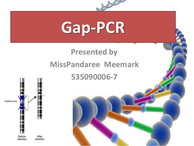 Gap pcr