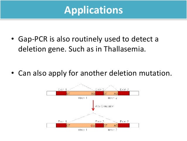 Gap pcr