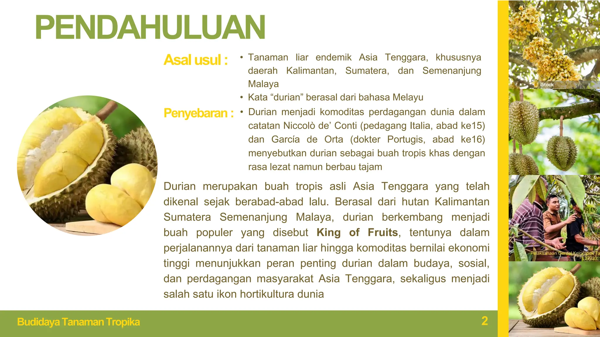 GAP BUDIDAYA DURIAN - TANAMAN TROPIKA.pdf