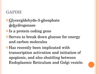 Gapdh research august 2009 | PPT