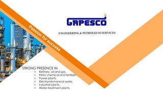 Gapesco Profile 2021 | PDF
