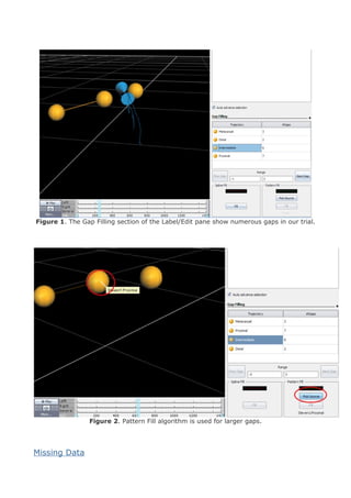Gap filling - Vicon Nexus tutorial | DOC