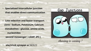 GAP junction ( A type ofcell junctions) | PPTX