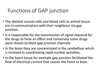Gap junction by subhrajyoti sahoo | PPTX