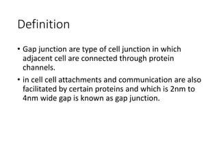 Gap junction by subhrajyoti sahoo | PPTX