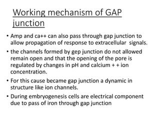 Gap junction by subhrajyoti sahoo | PPTX