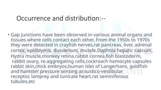 Gap Junctions: Structure, Function, and Types in Animal Cells by ...