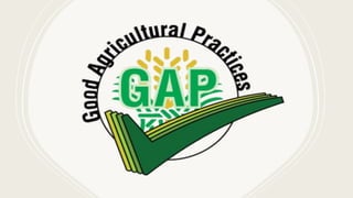 Good Agricultural Practices (GAP)presentation.pdf | Agriculture | Industries