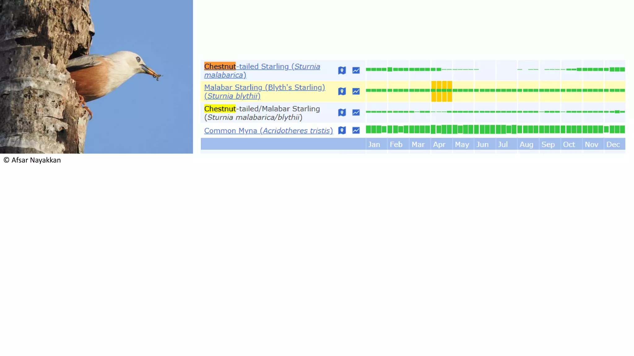 Gaps in bird distribution in Kerala 11 June 2023 KBM_MRK.pptx | Birds | Pets