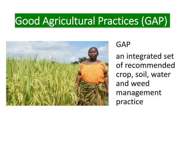 Good Agricultural Practices (GAP) | PDF