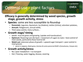 Gap & weed managment with glyphosate | PDF