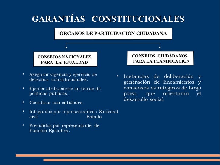 Cuáles Son Las Garantías Constitucionales En Perú Jyzxlk