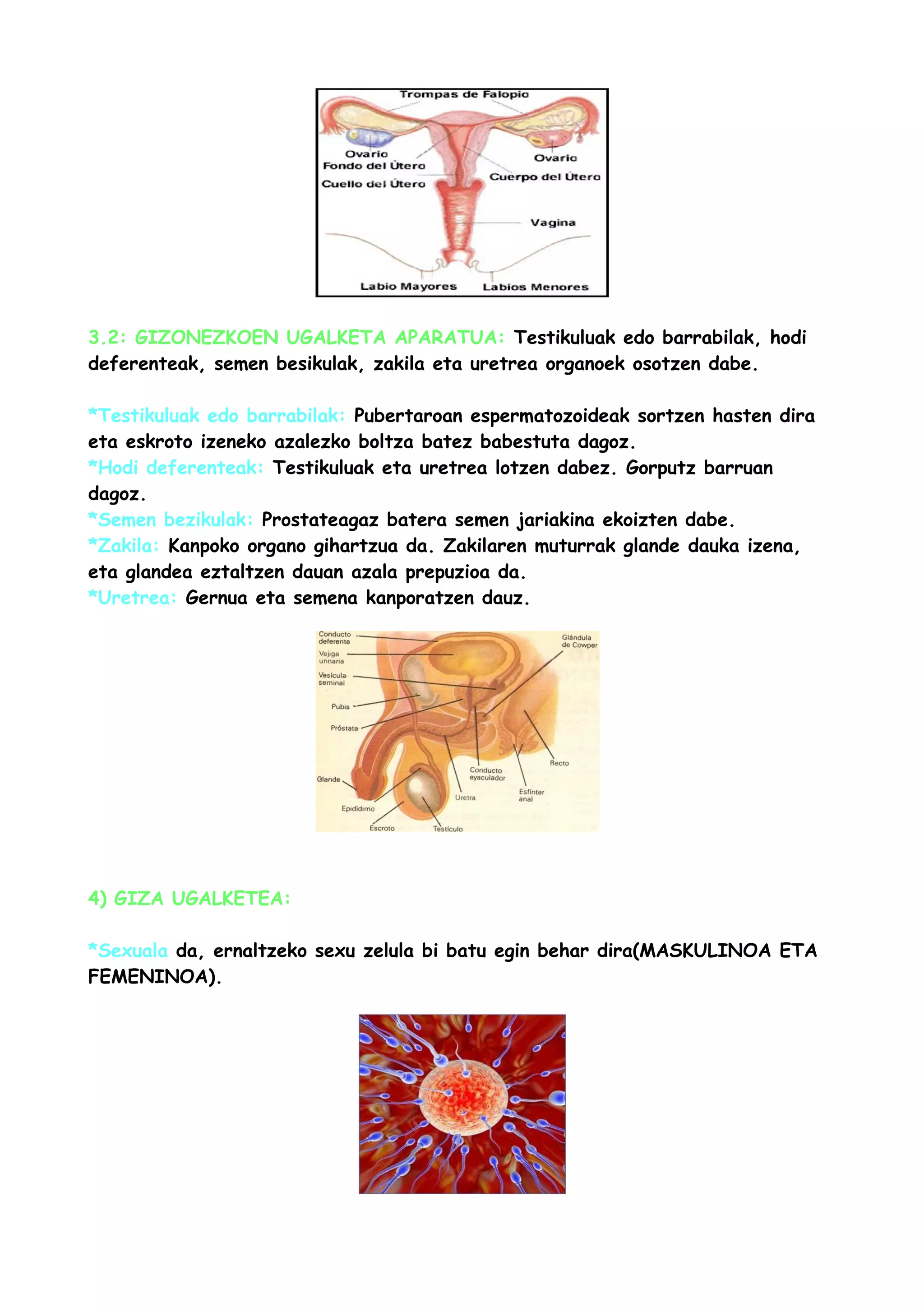 Garazi ugalketa aparatua | PDF