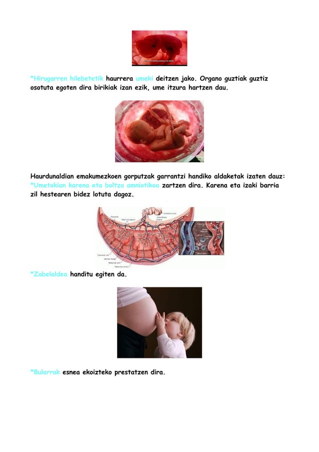Garazi ugalketa aparatua | PDF