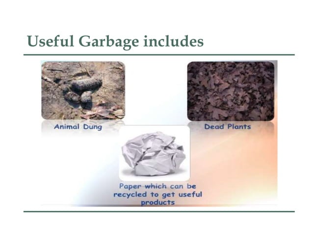 Garbage In Garbage Out Chapter Ppt 1pptx Environment Science