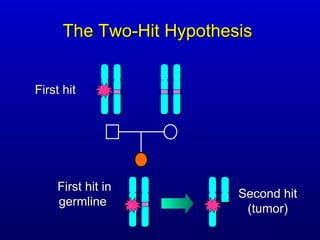 An Overview of Cancer Genetics | PPTX