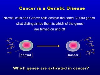 An Overview of Cancer Genetics | PPTX