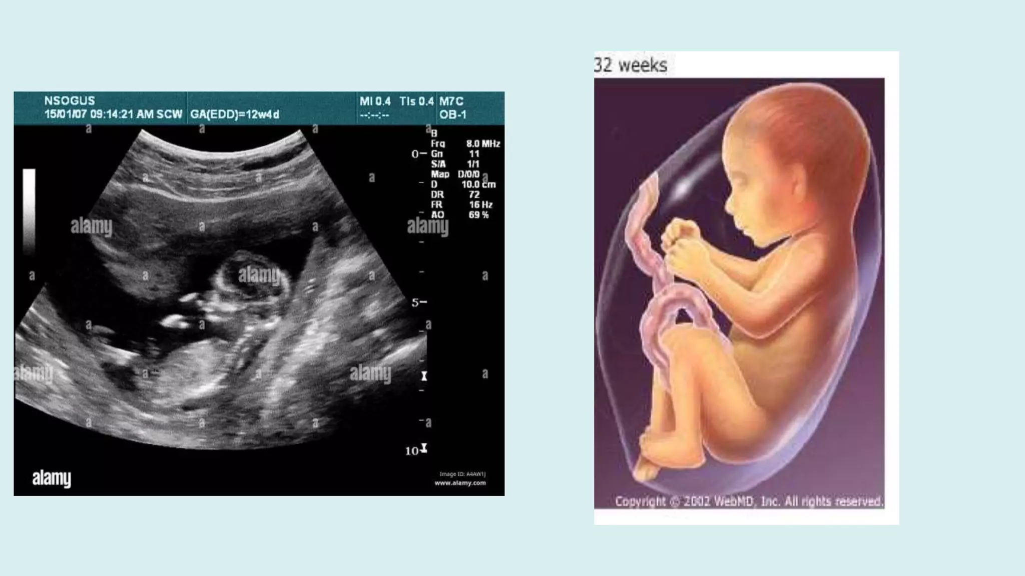 Garbha and masanumasika garbha vruddhi krama with special.pptx