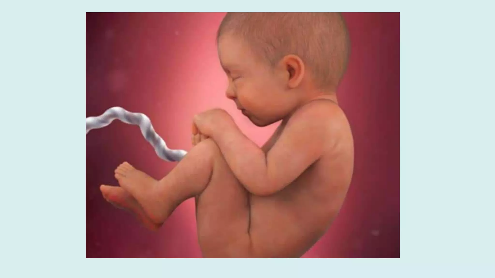 Garbha and masanumasika garbha vruddhi krama with special.pptx