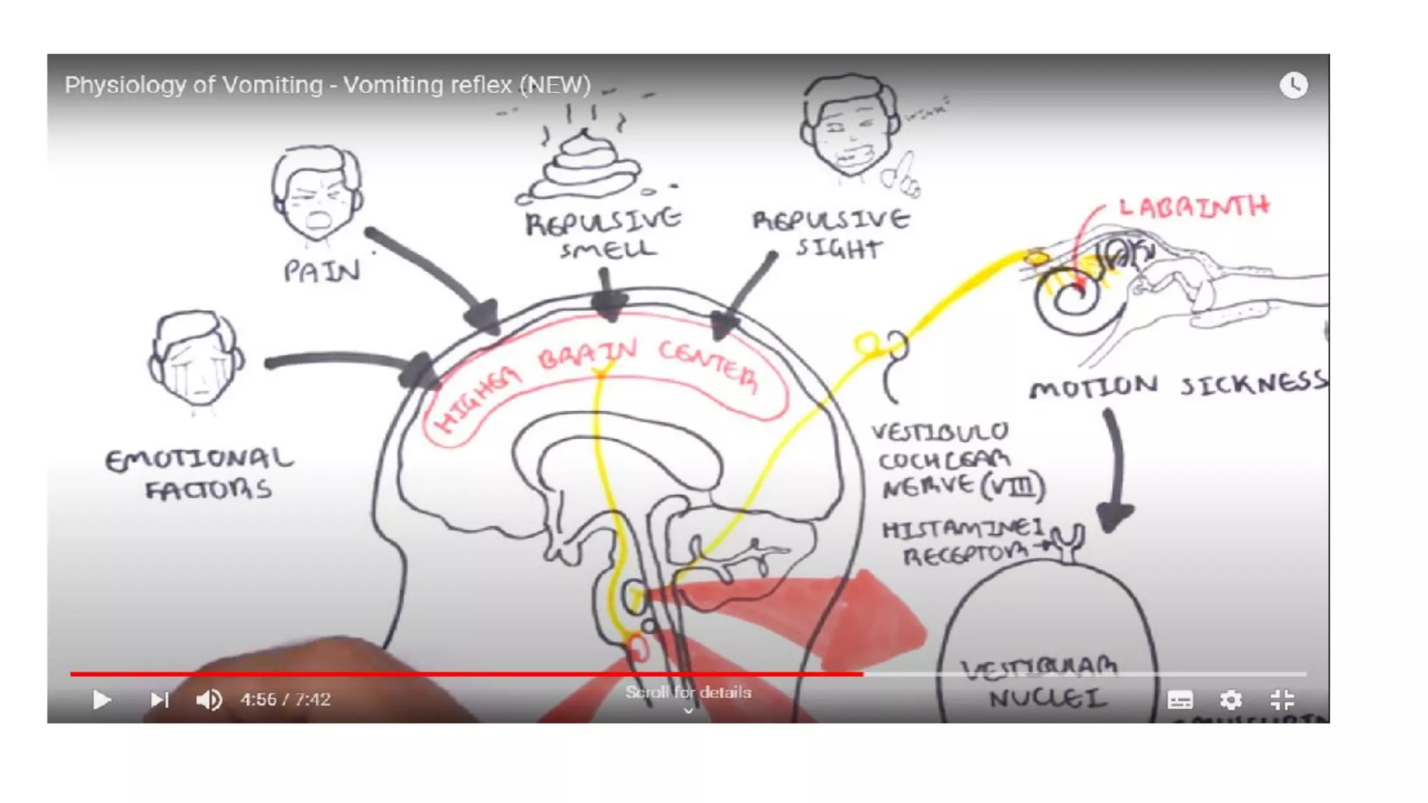 Garbhini vyapad new | PDF