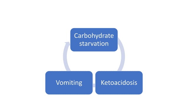 Garbhini vyapad new | PDF | Pregnancy | Reproductive Health