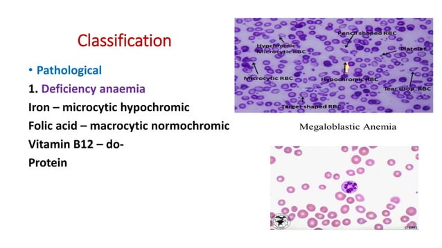 Garbhini vyapad new | PDF | Pregnancy | Reproductive Health