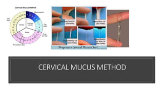 contraception | PPTX