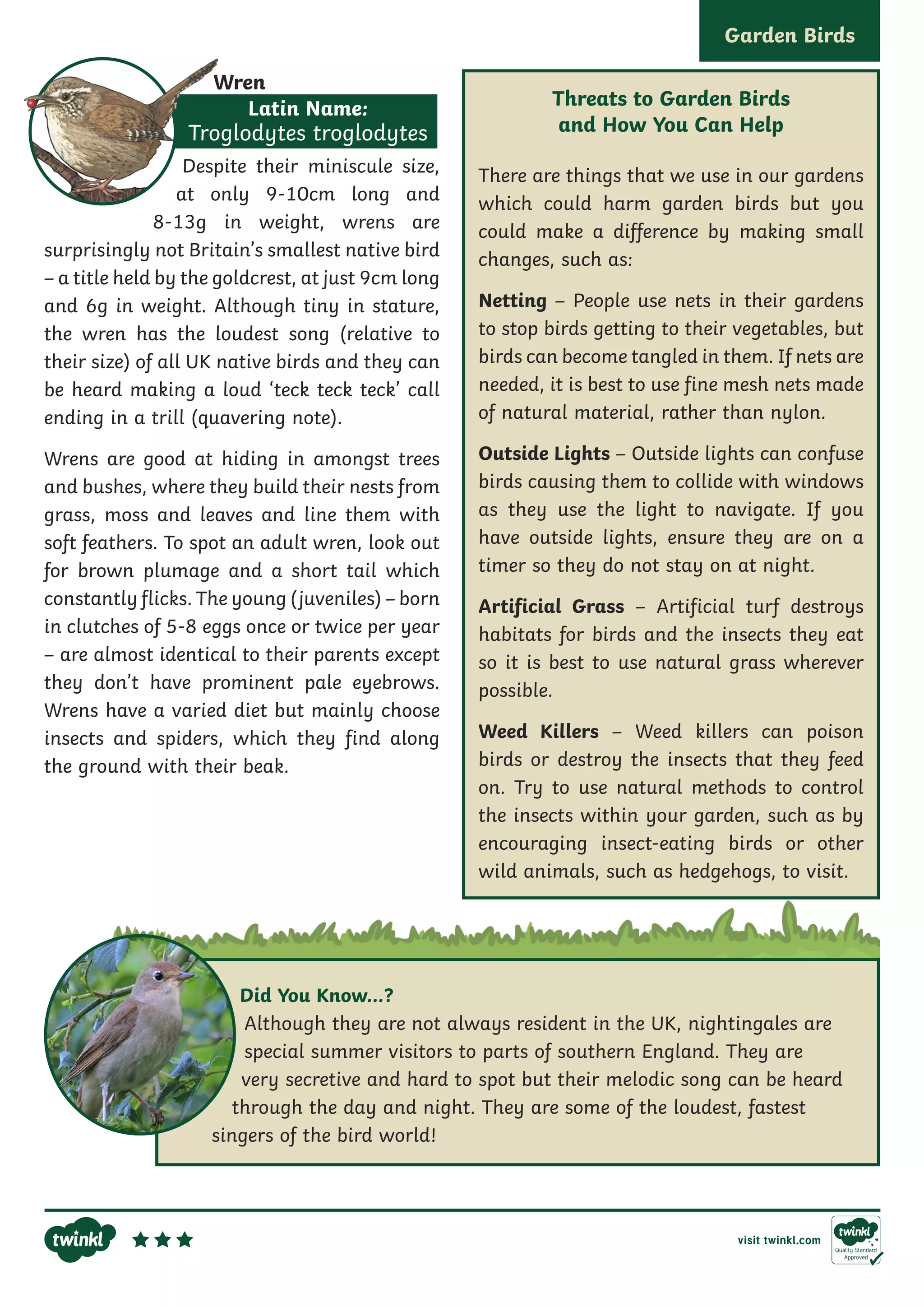 Garden birds (1) | PDF